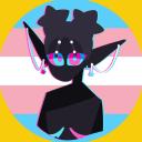 TransVoid | DISBOARD: Discord Server List