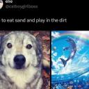 Discord servers tagged with ultrakill | DISBOARD