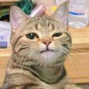 COMFY empire | DISBOARD: Servidores de Discord