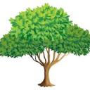 Tree Cult | DISBOARD: Discord Server List