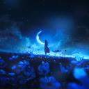 🕛 Midnight 🌠 | DISBOARD: Discord Server List