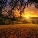 Chill Huzz n Bruzz | DISBOARD: Discord Server List