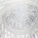 Discord servers tagged with berry-avenue | DISBOARD