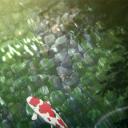 Discord servers tagged with botting | DISBOARD