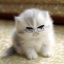 based gamers | DISBOARD: Discord Server List