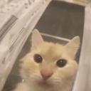 dunkin donuzz ഒ | DISBOARD: Discord Server List