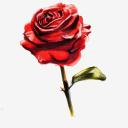 Relationship? | DISBOARD: Discord Server List