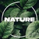 🌿NATURE | DISBOARD: Discord 서버 게시판