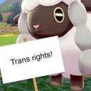 The SS Transgender | DISBOARD: Discord Server List