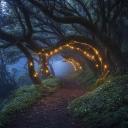 I know your 𝑔𝑎𝑦~ | DISBOARD: Discord Server List