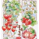 STRAWBERRY FESTIVAL | DISBOARD: Discord Server List