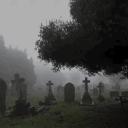 Graveyard | DISBOARD: Discord Server List