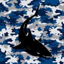 🦈 | Shark. Co | DISBOARD: Discord Server List