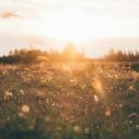 Rising Women | DISBOARD: Discord Server List