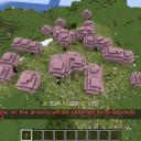 The Collector's Minecraft Madness | DISBOARD: Discord Server List