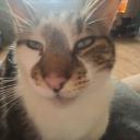 Discord servers tagged with small-streamers | DISBOARD