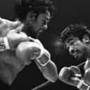 Discord servers tagged with Boxing | DISBOARD