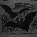 Discord servers tagged with goth | DISBOARD