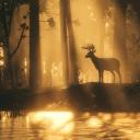 Servidores de Discord com a etiqueta rdr2-rp | DISBOARD