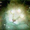 Discord servers tagged with wcue | DISBOARD