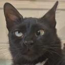 Discord servers tagged with Gambling | DISBOARD