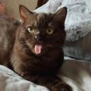 Cuddle Corner | DISBOARD: Discord Server List