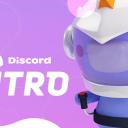 NITRO | DISBOARD: Discord Server List