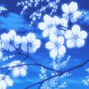 Kanedama | DISBOARD: Liste de serveurs Discord