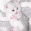 Discord servers tagged with ekitten | DISBOARD