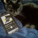 Discord servers tagged with evade | DISBOARD