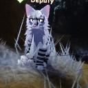 Discord servers tagged with wcue | DISBOARD