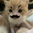 69 Squad | DISBOARD: Discord Server List