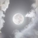 Bar da Lua | DISBOARD: Lista de Servidores de Discord