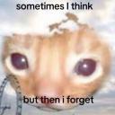 💎Diamond Server💎 | DISBOARD: Discord Server List