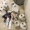 Discord servers tagged with memes | DISBOARD