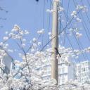 Discord servers tagged with Banners | DISBOARD