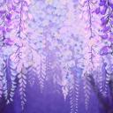 Wisteria VRC | DISBOARD: Servidores de Discord