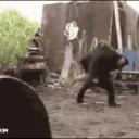 Monkey HQ | DISBOARD: Discord Server List