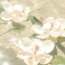 𝐜𝐥𝐨𝐯𝐞𝐫 𝜗ৎ | DISBOARD: Discord Server List