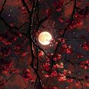 Discord servers tagged with oc | DISBOARD