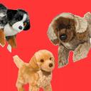 😺the essa garden🐶 | DISBOARD: Discord Server List