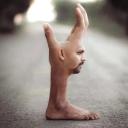 just a normal server | DISBOARD: Discord Server List