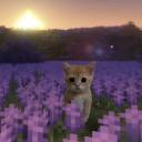 meowcraft :3 | en proceso | DISBOARD: Lista de Servidores de Discord