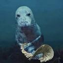 Late Honey Sky Gateway | DISBOARD: Discord Server List