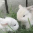 Discord servers tagged with tags | DISBOARD