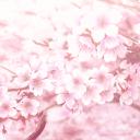 Discord servers tagged with tags | DISBOARD