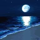 Midnight | DISBOARD: Lista de Servidores de Discord