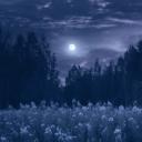 𝙼𝚘𝚘𝚗𝚕𝚒𝚐𝚑𝚝 𝙼𝚊𝚗𝚘𝚛🌙 | DISBOARD: Discord Server List