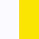 Romanum Catholicum Fingimentum | Catholic Roleplay | DISBOARD: Discord ...