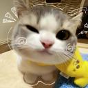 The Silly Zone X3 | DISBOARD: Discord Server List